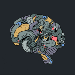 brain - תכנית ספארק || Spark Academy || לילדים שרוצים יותר